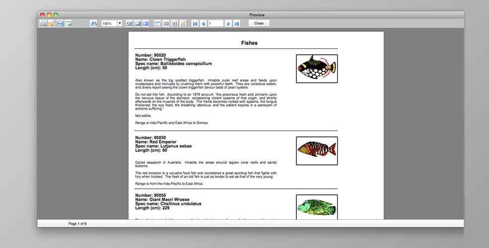 Get Fastreport Fmx V202424 For D10 12 Full Source